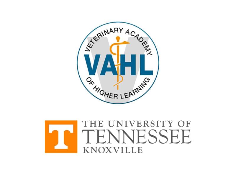 Application for Enrollment in VAHL/UT Veterinary Programs - Veterinary ...